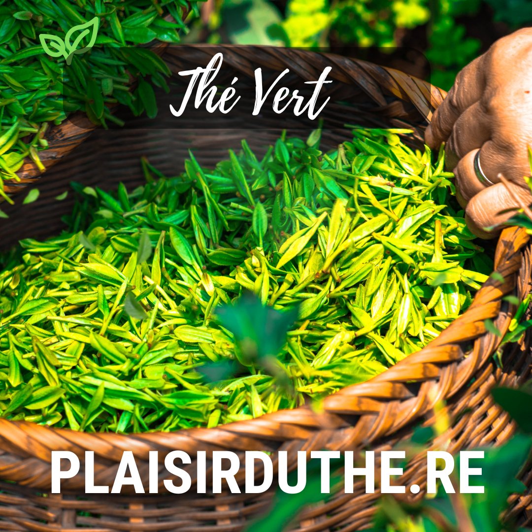 THE VERT – Plaisir Du Thés et Cafés Bio